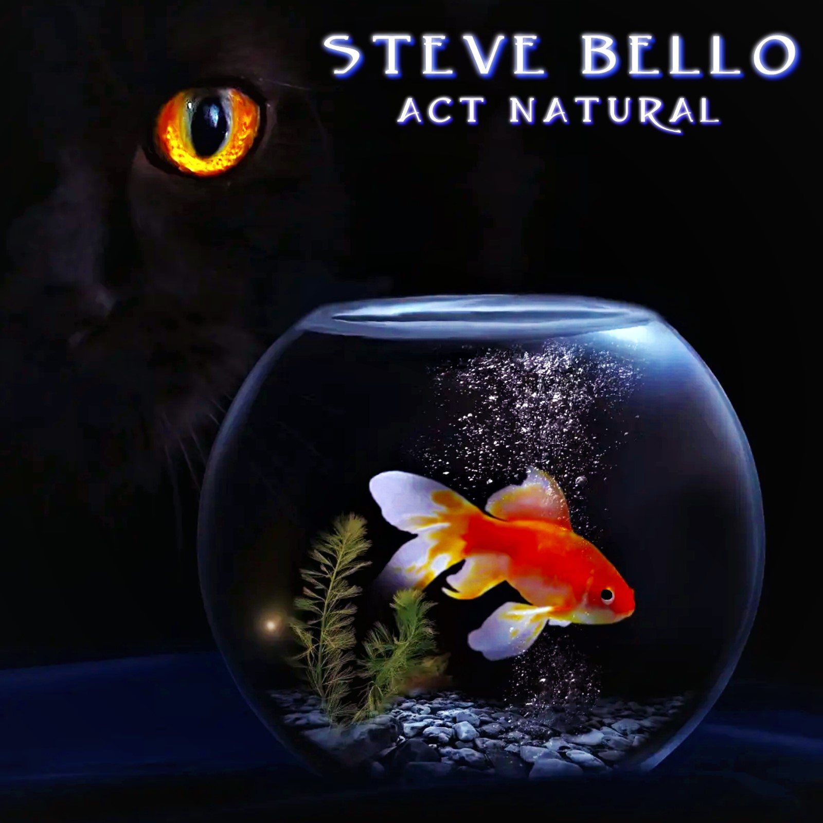 NOW’S THE TIME! – OFFICIAL WEBSITE FOR 7-STRING GUITARIST STEVE BELLO